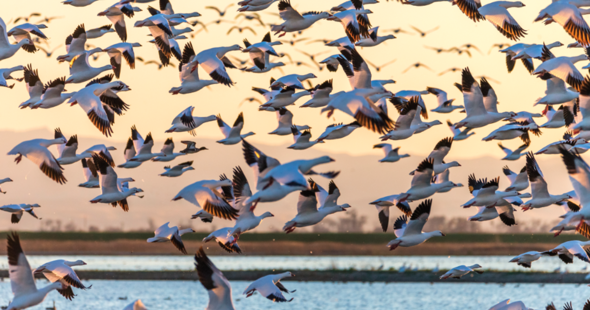 Drupal Migration: Migrating Basic Data (Part 1) Drupal Migration: Migrating Basic Data (Part 1)